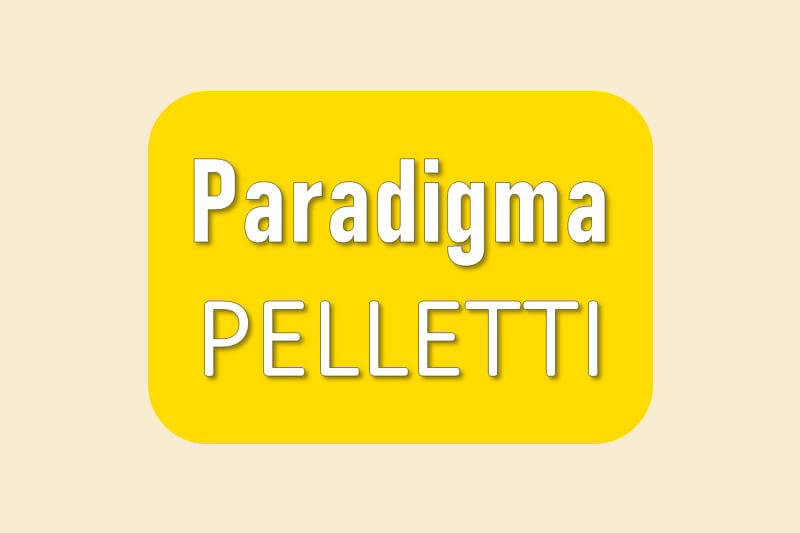 Ersatzteile für Paradigma Pelletti – aschewerk.de